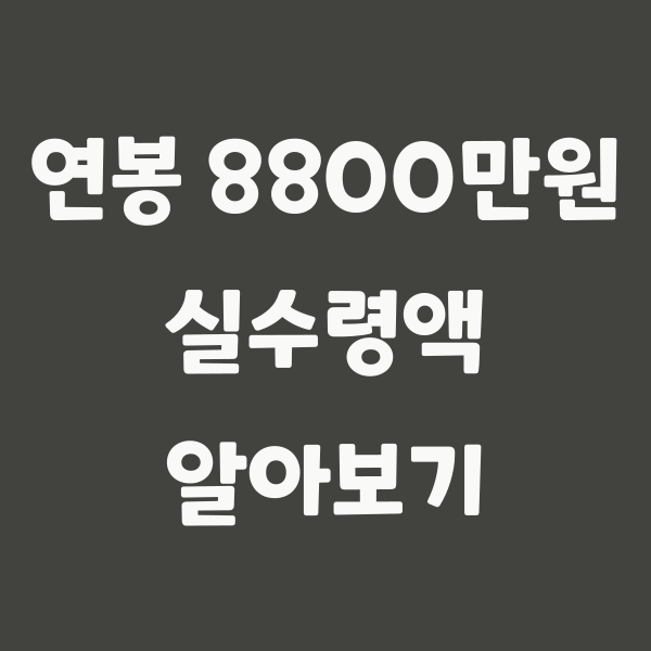 8800 2024 8800-2024